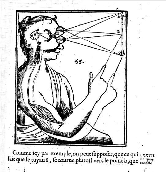 History and Philosophy of Science – It Came from the Pond