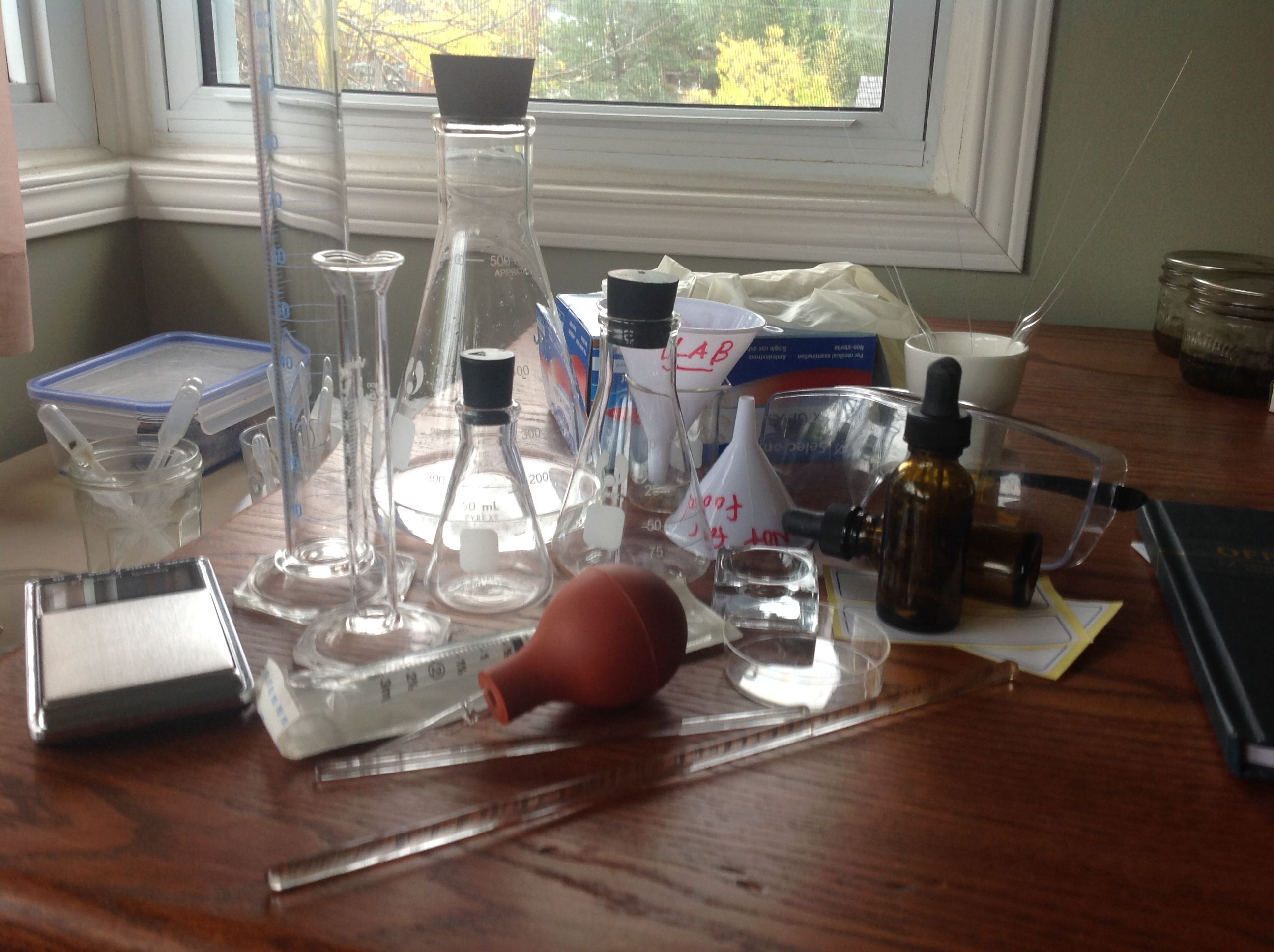 A first attempt at silver carbonate staining – It Came from the Pond